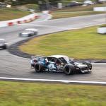 Colt Martin - Trading Paints